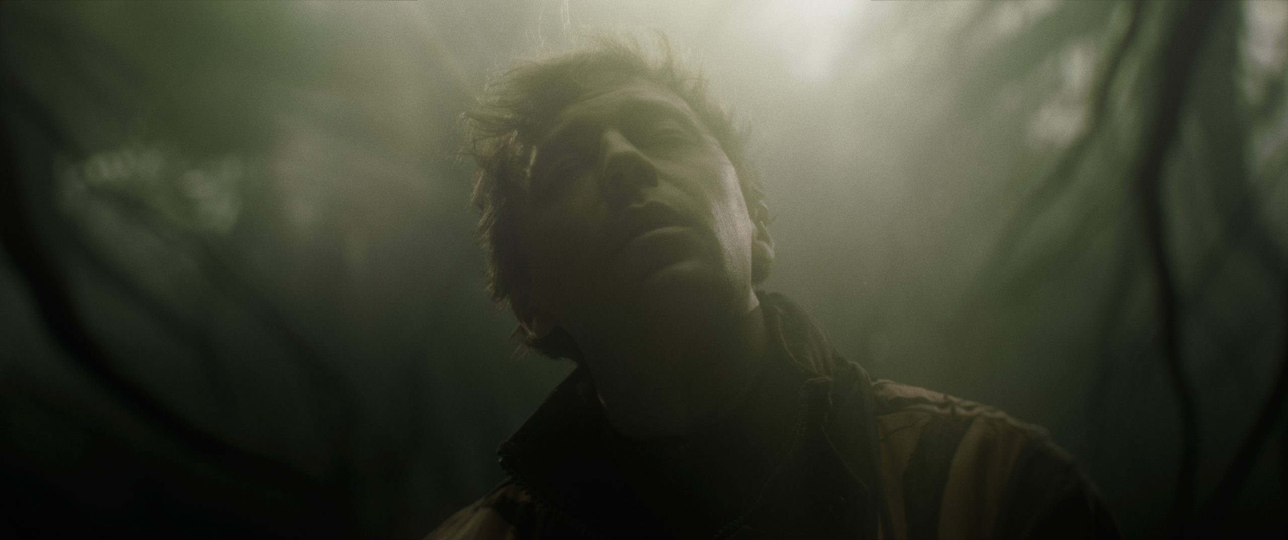 Les Racines Sauvages - Nicolas Millot